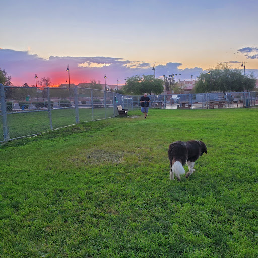 Clark County Dog Park at Spring Valley Community Park