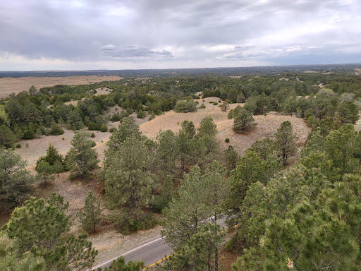 Nebraska National Forest, Bessey Ranger District - AZexplained