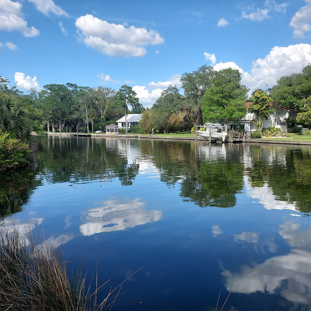 Lowry Park - reviews,open hours,photo spots,things to do | WanderBoat ...