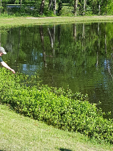 Golf Course «Riverview Park Golf Course», reviews and photos, 100 ...