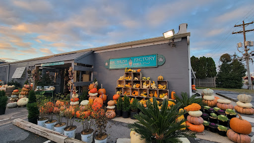 The Brush Factory on Kings - AZexplained