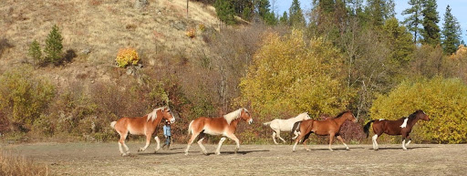 Eagle Creek Ranch - AZexplained