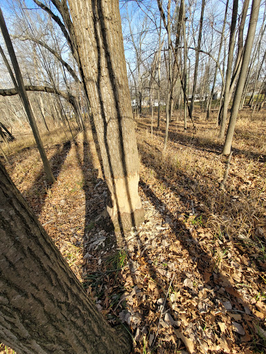 Red Cedar Natural Area in Okemos, East Lansing, Michigan - Zaubee