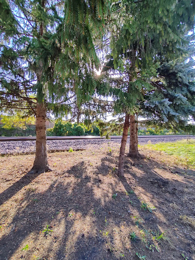 Baumgartner Fine Art Restoration And Conservation in Edison Park ...