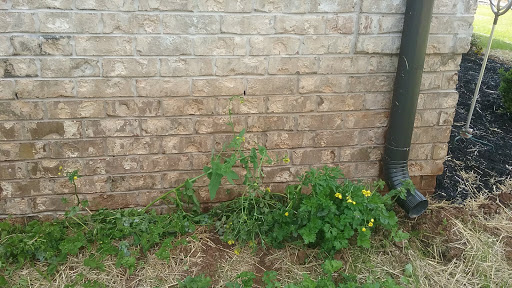 Wilson Dream Builders - AZexplained