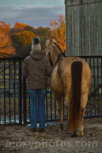 Rocking Horse Ranch | Ride The Horse