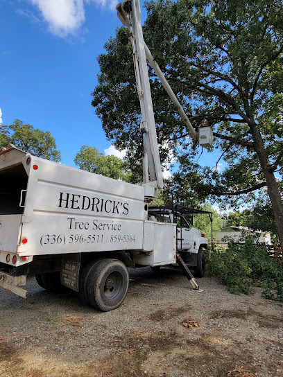 Woodpecker Tree Service Co. in Matthews, North Carolina - Zaubee