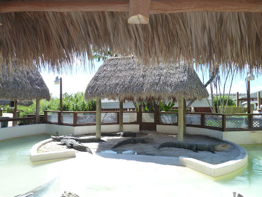 Tourist Attraction «Miccosukee Indian Village», reviews and photos, 500 ...