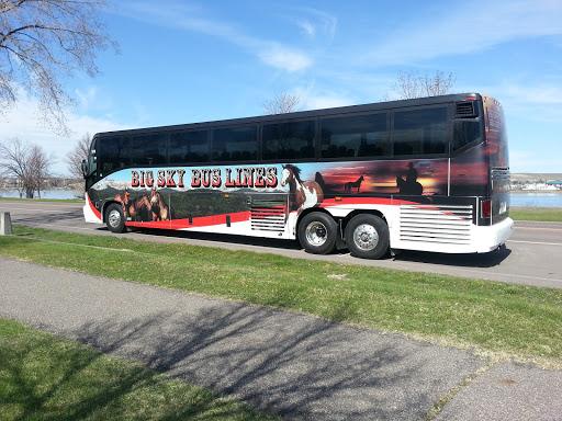 School bus service - AZexplained