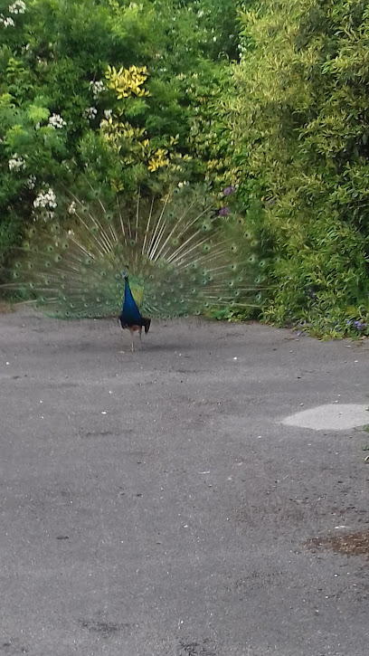 Blackbrook Farm - Farm - Chester, - Zaubee