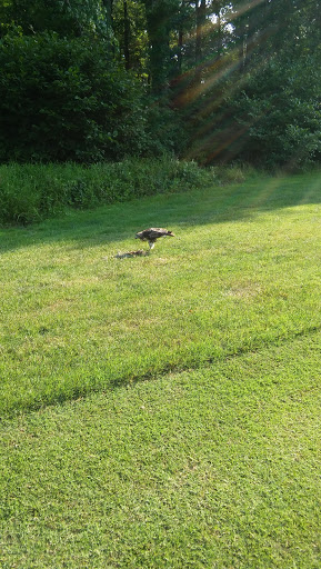 Golf Course «Greendale Golf Course», reviews and photos, 6700 Telegraph ...