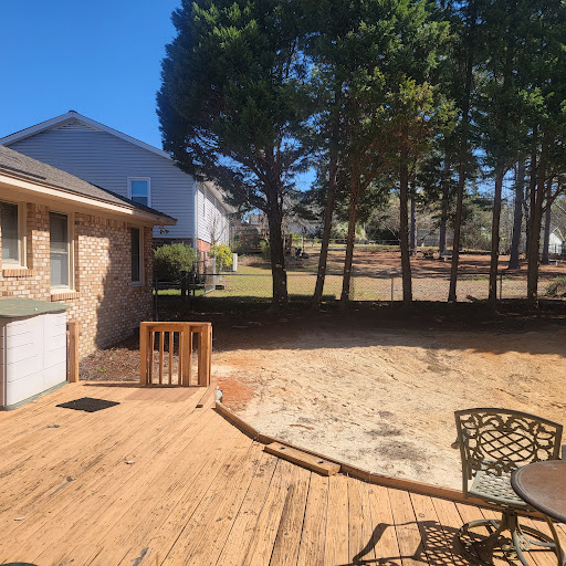 Professional Tree Service - AZexplained