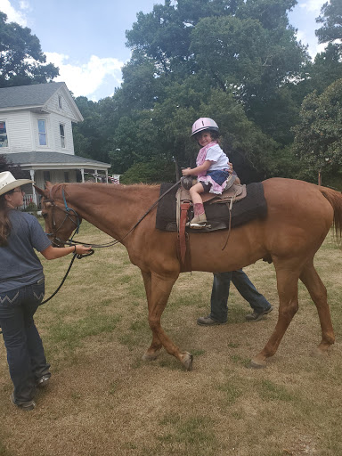 Hidden Acres Horse Farm in Cape Fear, Wade, North Carolina - Zaubee
