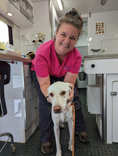 Springhill provides veterinary care for large and small animals!