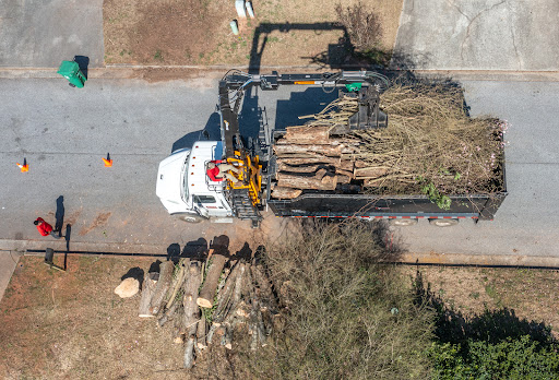 Tree Trimming & Removal Services Decatur, GA | Don's Tree Service
