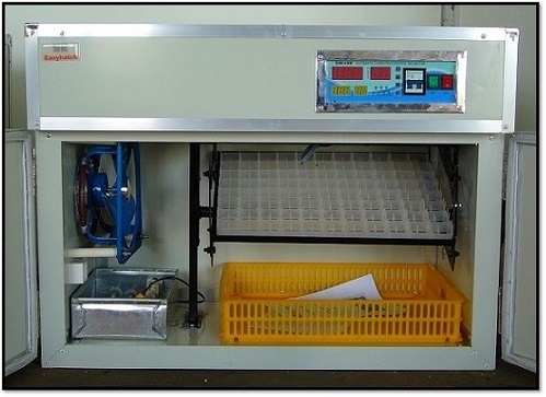 Easyhatch Incubation Equipment in the city Vanderbijlpark