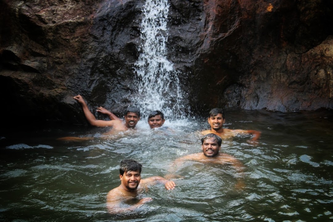 Shenbaga Thoppu in the city Srivilliputhur