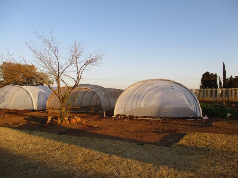 Vuselela College Jouberton Campus in the city Klerksdorp
