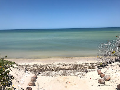 Descubre las increíbles playas en Mérida: un paraíso vacacional [2025]