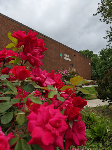 Community College «Delaware Technical Community College - Charles L ...