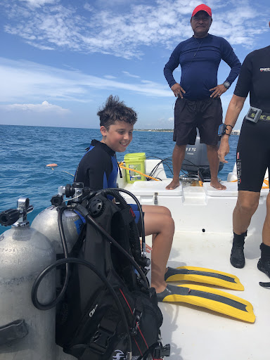 Scuba Diving & Cenote Tours in Playa del Carmen | Pluto Dive