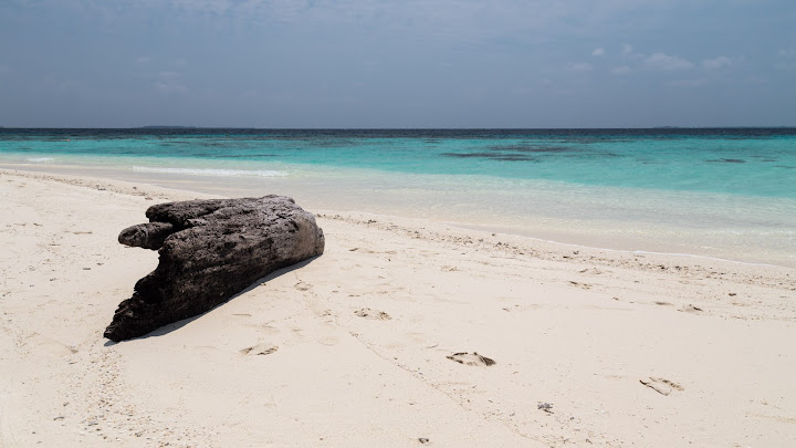 Vavvaru Island Beach 🏖️ Naifaru, Lhaviyani Atoll, Maldives - detailed ...