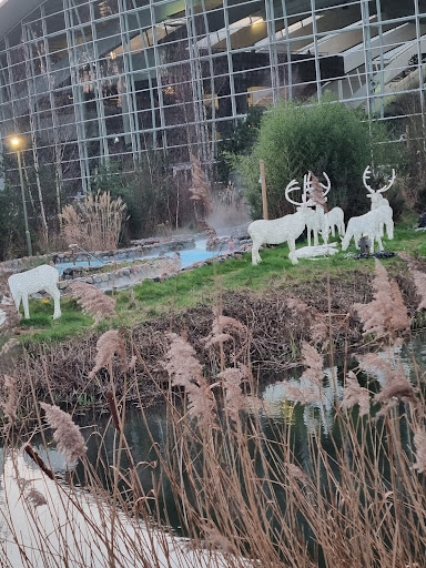 Center Parcs Woburn Forest in Bedford, - Zaubee