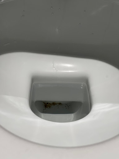 GymNation Mirdif | Best Gym In Mirdif in Al Mizhar - Al Mizhar 1, Dubai ...