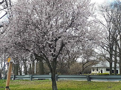 Park «Baisley Pond Park», reviews and photos, Baisley Blvd, Jamaica, NY ...