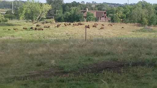 Buffalo Ridge Ghost Town in Buffalo Ridge, South Dakota - Zaubee