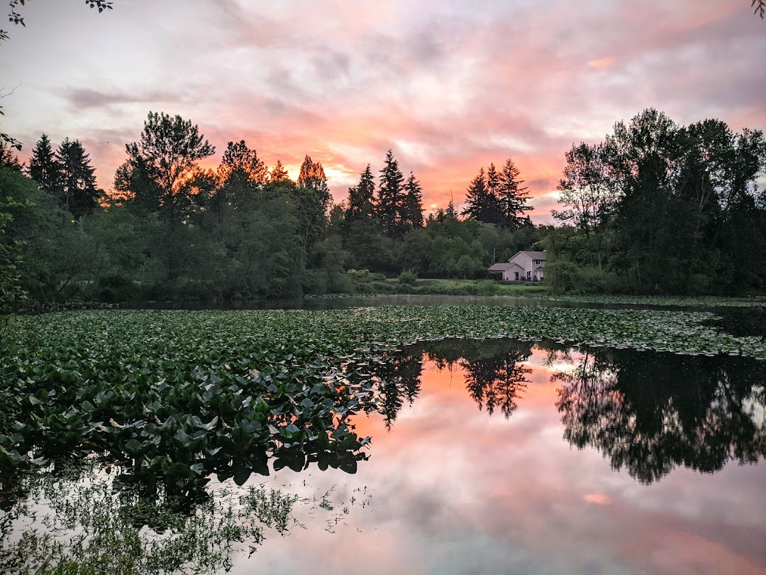 Arbor Lake Park in the city Burien