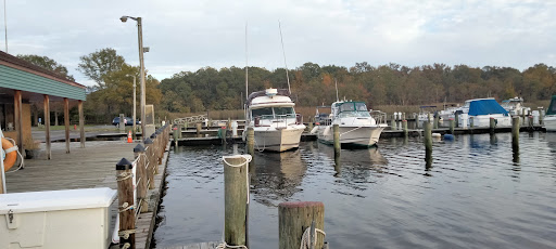 State Park «Hammerman Area Beach», reviews and photos, 7200 Graces ...