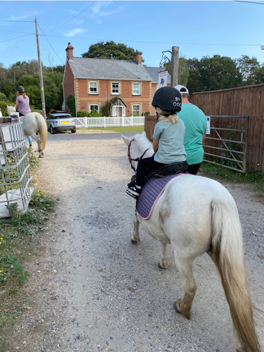 Brockenhurst Riding Stables in Brockenhurst, - Zaubee
