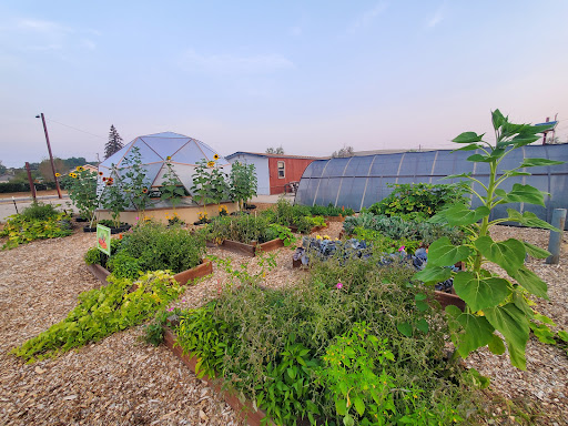 Community Gardens - AZexplained