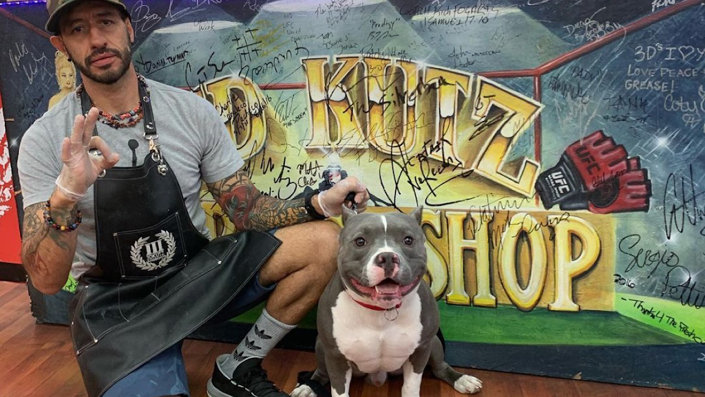 3D Kutz - Albuquerque, NM 87112 - Services and Reviews