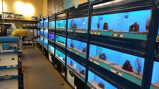 Reviews Petco (Fish Shop) in California | TrustReviewers.com