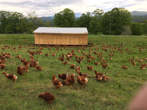 Schoolhouse Farm - AZexplained