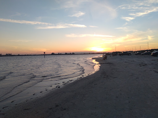 Gandy Beach Mangroves in St. Petersburg, Florida - Zaubee