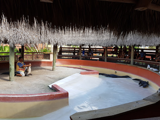 Tourist Attraction «Miccosukee Indian Village», reviews and photos, 500 ...