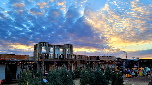 Old Town Texas Live - AZexplained