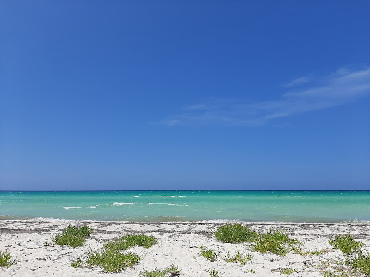 Playa Las Coloradas 🏖️ Las Coloradas, Yucatan, Mexico - detailed ...