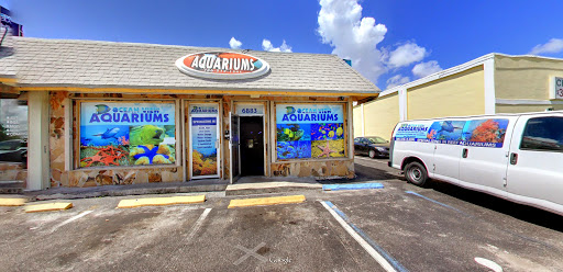 Pet Store «Ocean View Aquariums», reviews and photos, 6883 SW 40th St ...