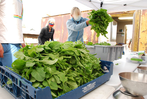 Mountain Roots Food Project - AZexplained