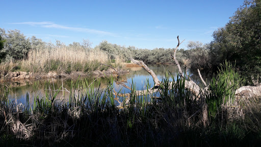 Nature Preserve «Wilson Springs Ponds», reviews and photos, 3209-3507 S ...