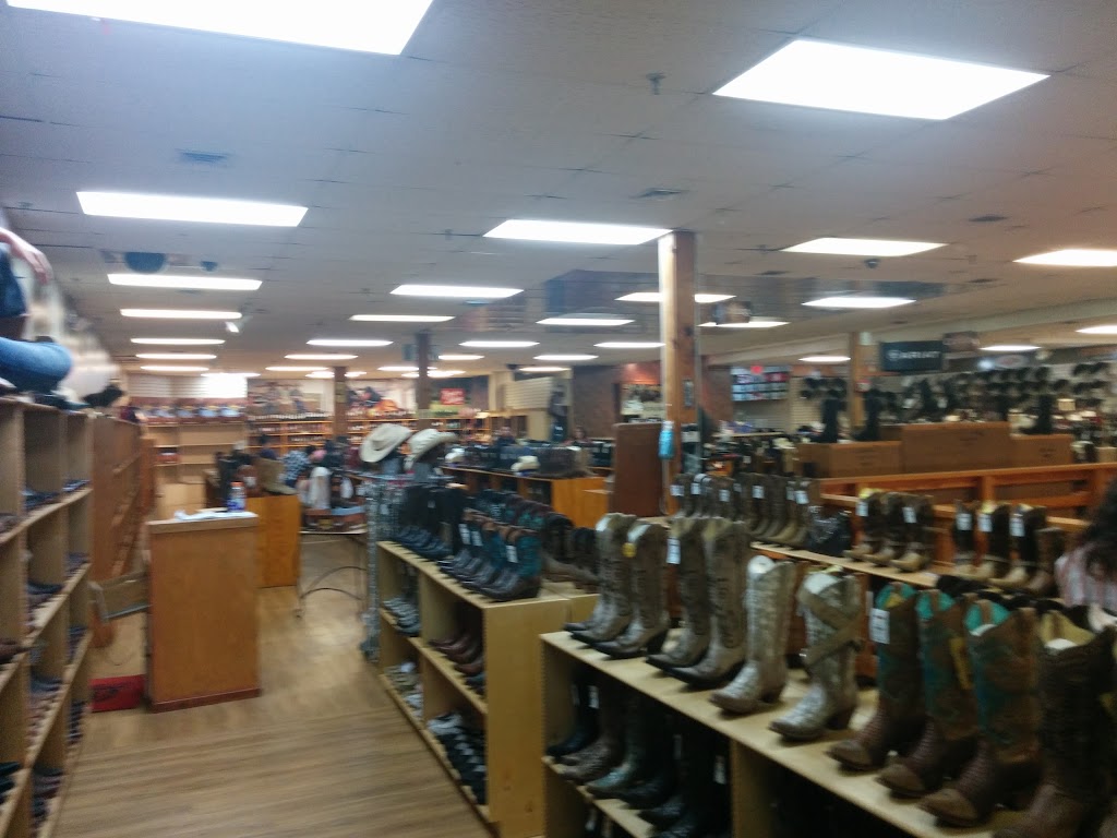 The Boot Jack - McAllen, TX 78501 - Location, Reviews, Hours and ...