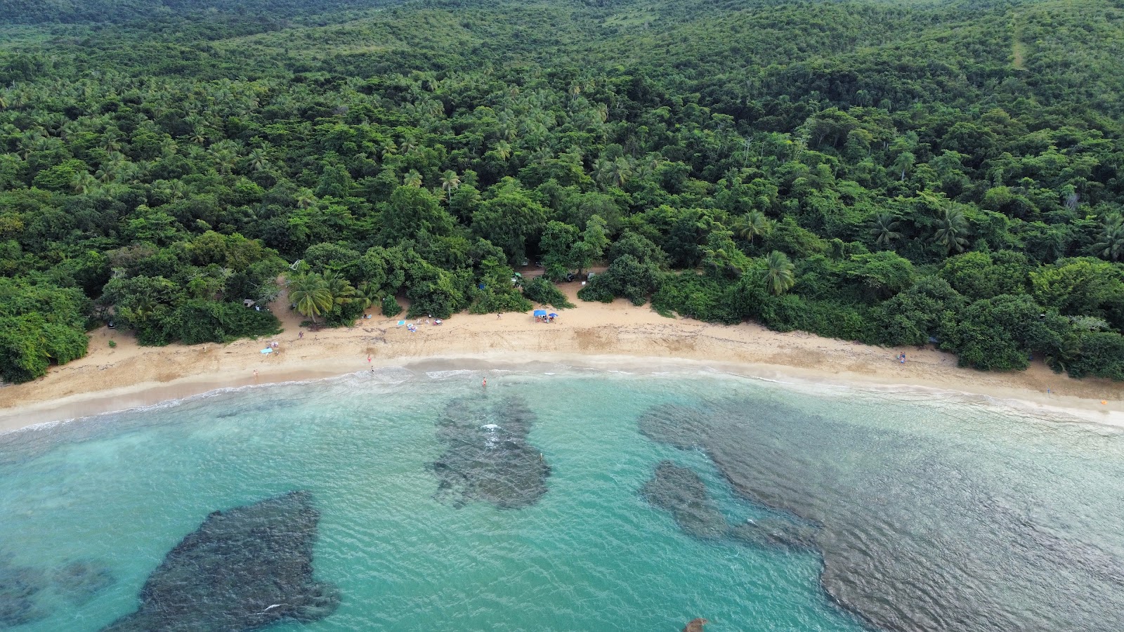 Playa La Selva 🏖️ Puerto Rico - detailed features, map, photos