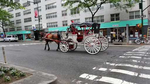 Movie Theater «AMC Magic Johnson Harlem 9», reviews and photos, 2309 ...