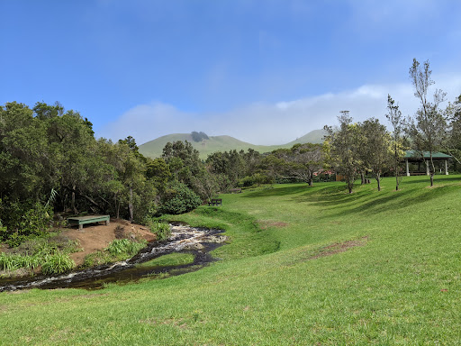 Ulu La'au (Waimea Nature Park) - AZexplained