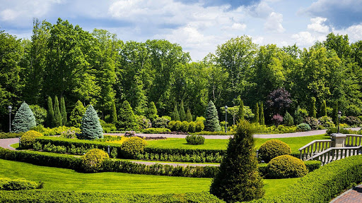 The Springfield Park District - AZexplained