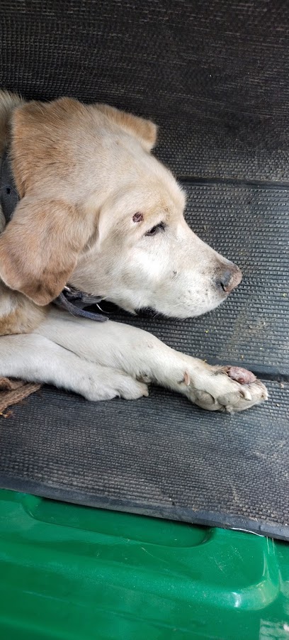 Vimalalaya Hospital - Huskur Gate, Hosur Road, Post, Bengaluru ...